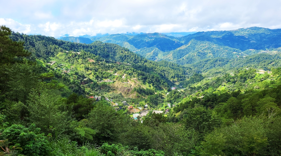 Museum presents project that will launch global plan for sustainable ...